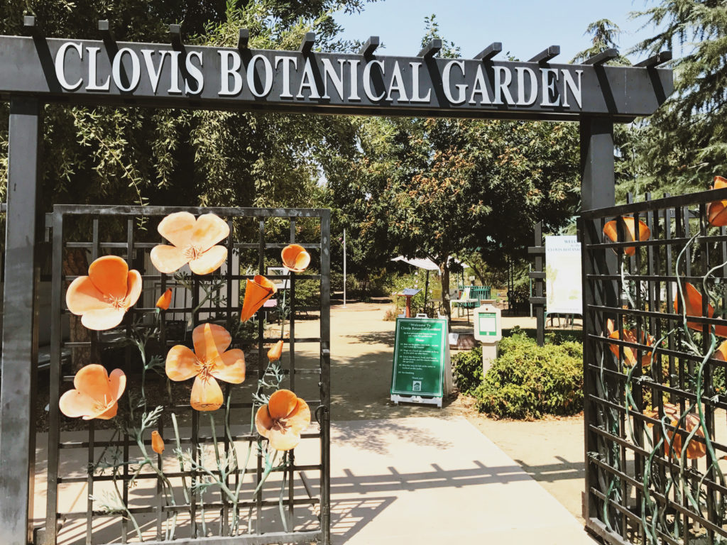 Clovis Botanical Garden starts Science Saturday monthly events - FresYes!